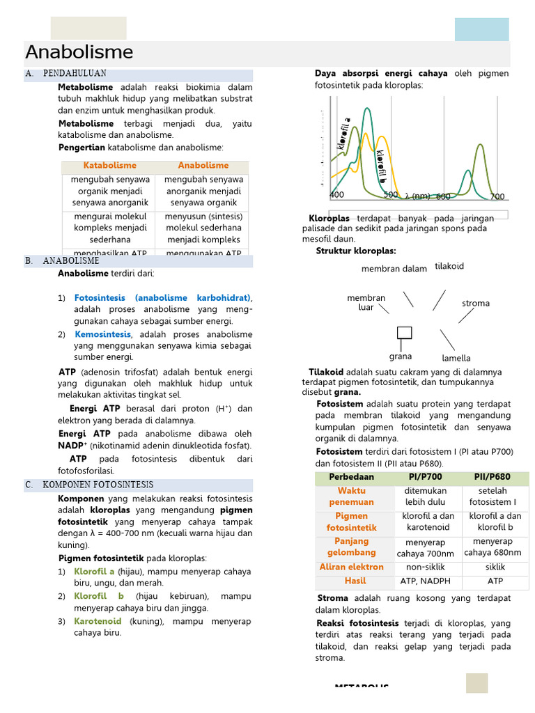 Anabo Bio3 41 | PDF