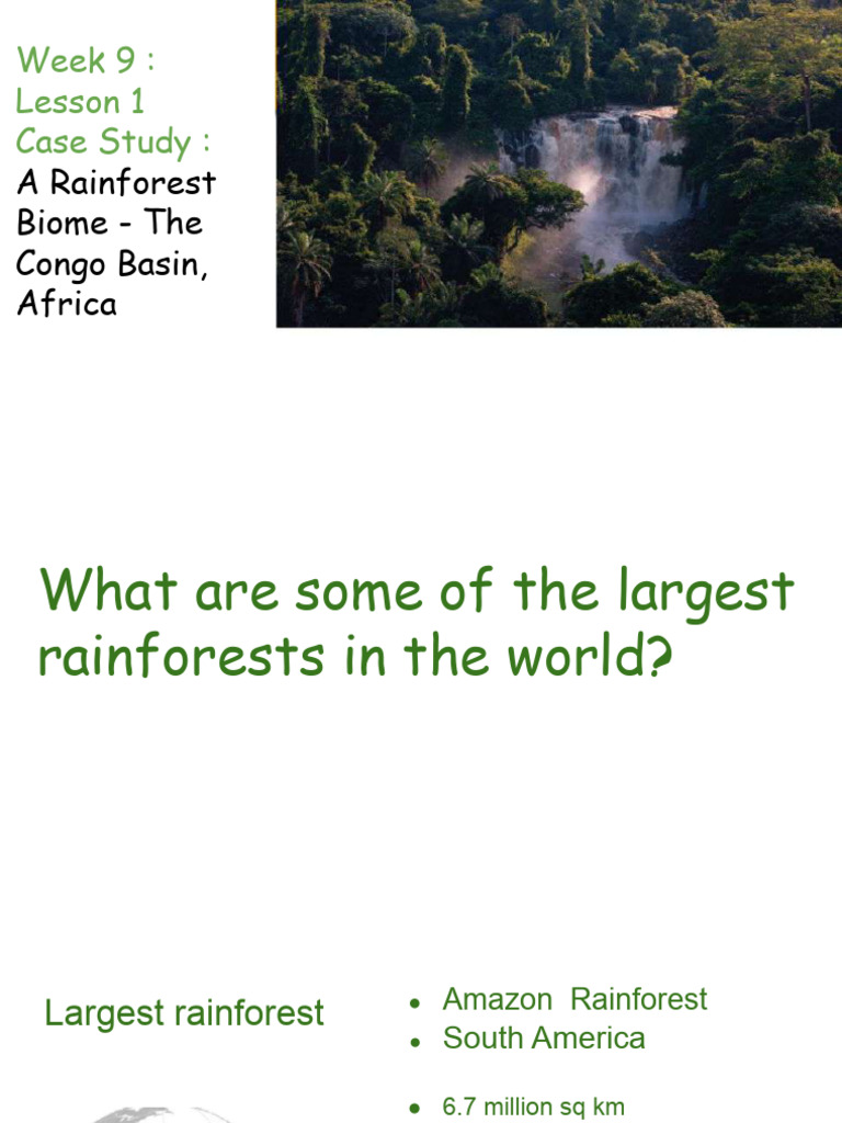Case Study 2 - A Rainforest Biome - The Congo Basin, Africa (2 ...