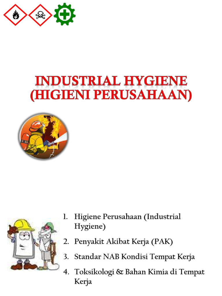 Hygiene Industri | PDF