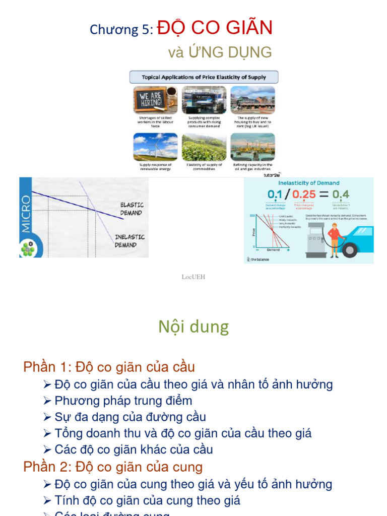 Chương 5 Đ Co Giãn Và NG D NG | PDF