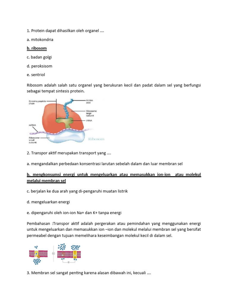 Soal Biologi Sel Google | PDF