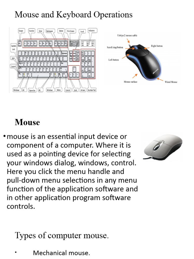 Mouse and Keyboard Operations | PDF | Computer Keyboard | Microsoft Windows