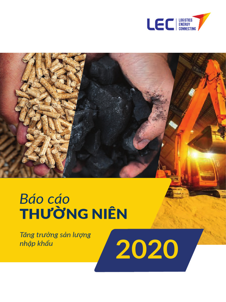 LEC GROUP Annual Report 2020 - Screen | PDF