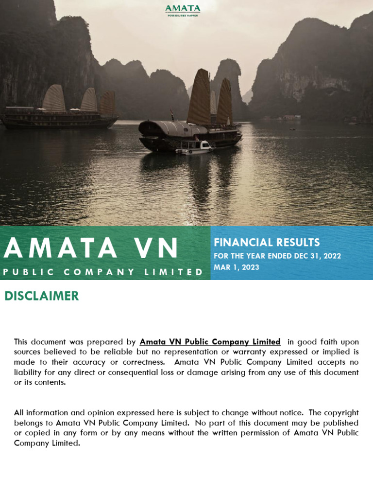 AMATAV | PDF | Foreign Direct Investment | Economies