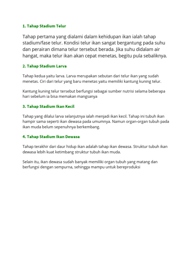 Tahap Stadium Telur | PDF