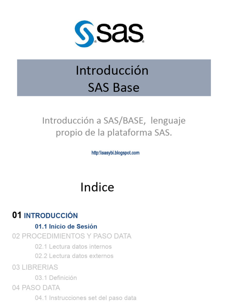 Curso - Introducción Al Lenguaje SAS BASE_blog.ppt | PDF | Macro ...