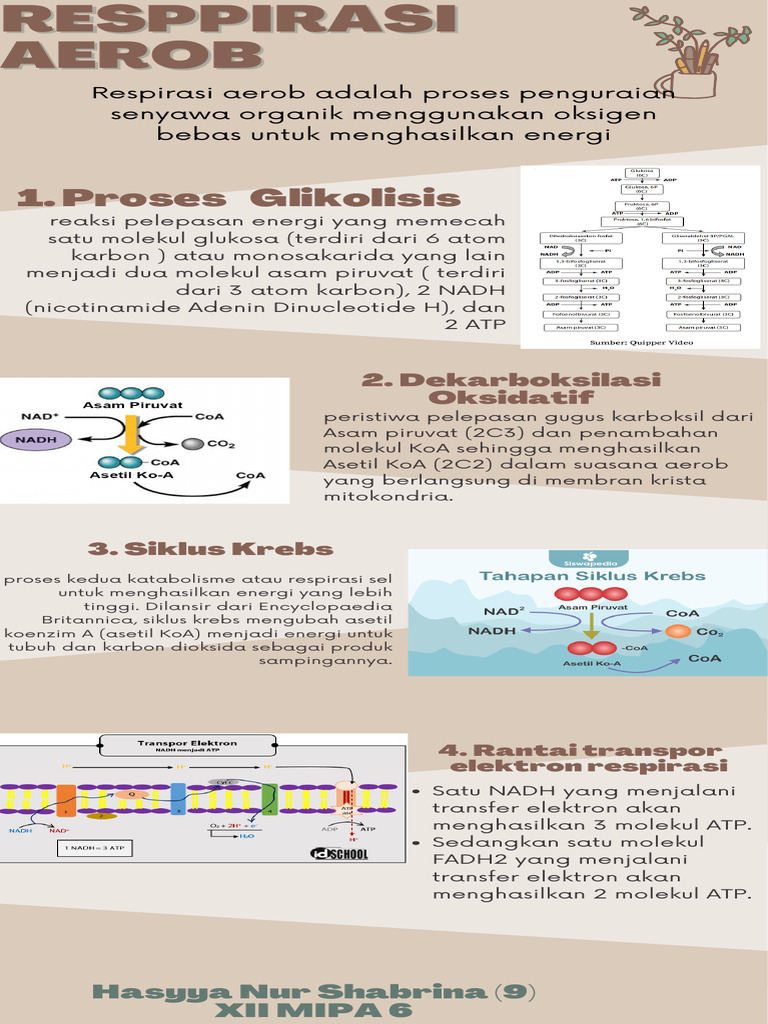 Respirasi AEROB | PDF