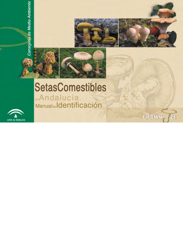 Guia de Setas Comestibles | PDF | Hongo | Seta