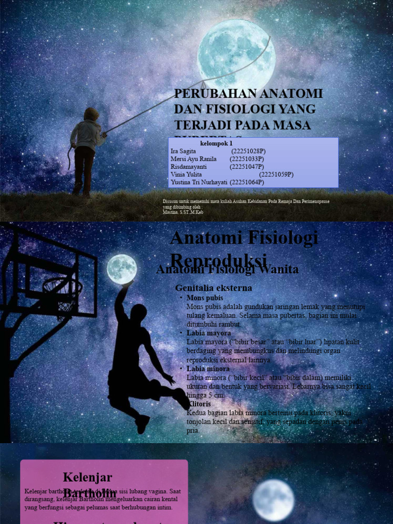 Kelompok 1 Perubahan Anatomi Dan Fisiologi Yang Terjadi Pada Masa Pubertas | PDF
