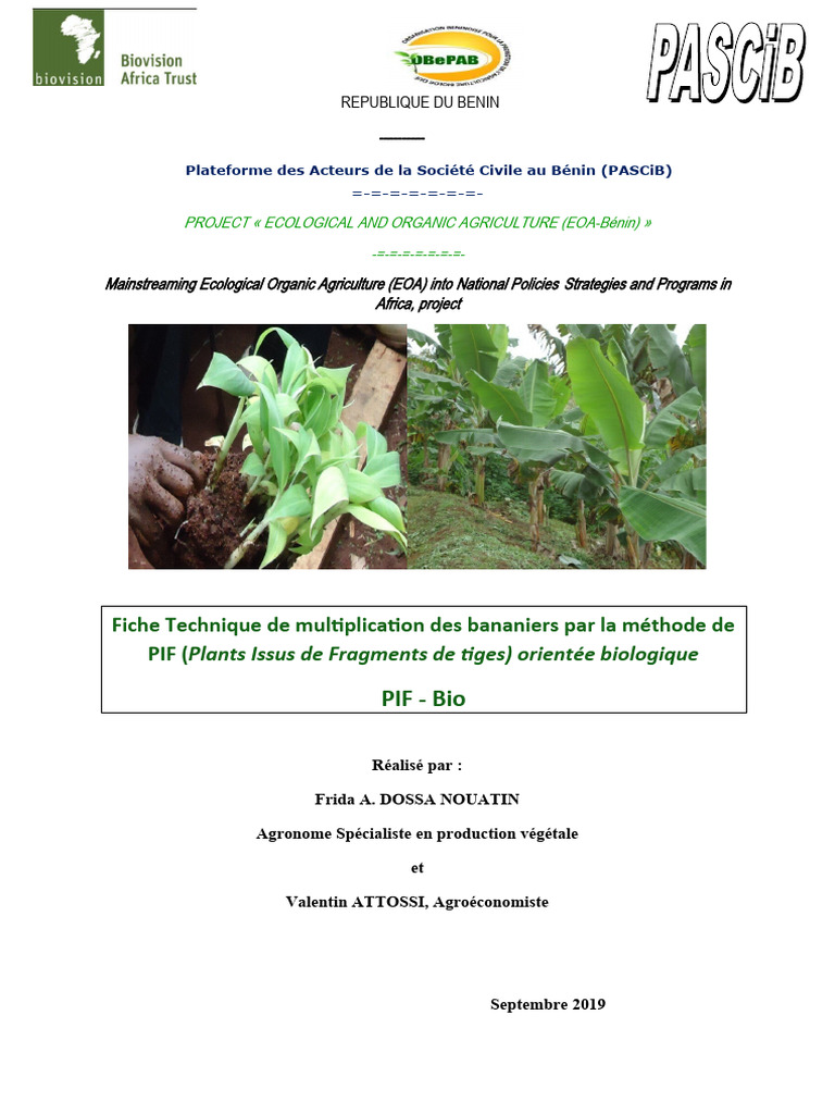 Fiche Technique PIF Bio1 | PDF | Banane | Insecticide
