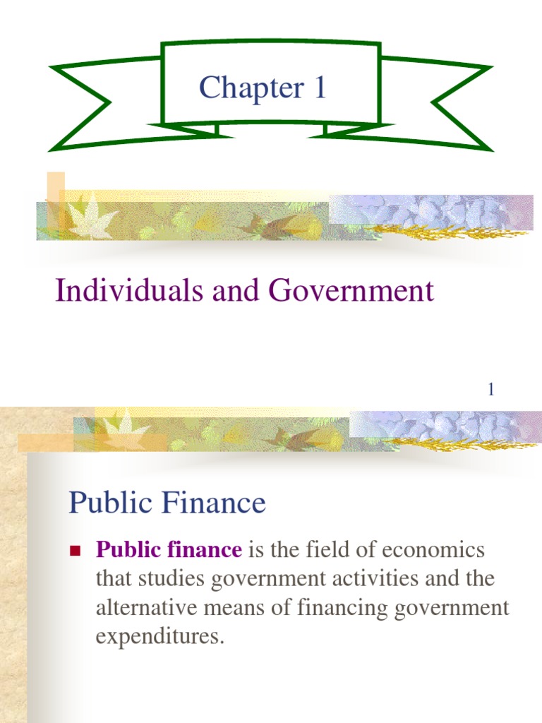 Understanding Public Finance and Government | PDF | Government Spending ...