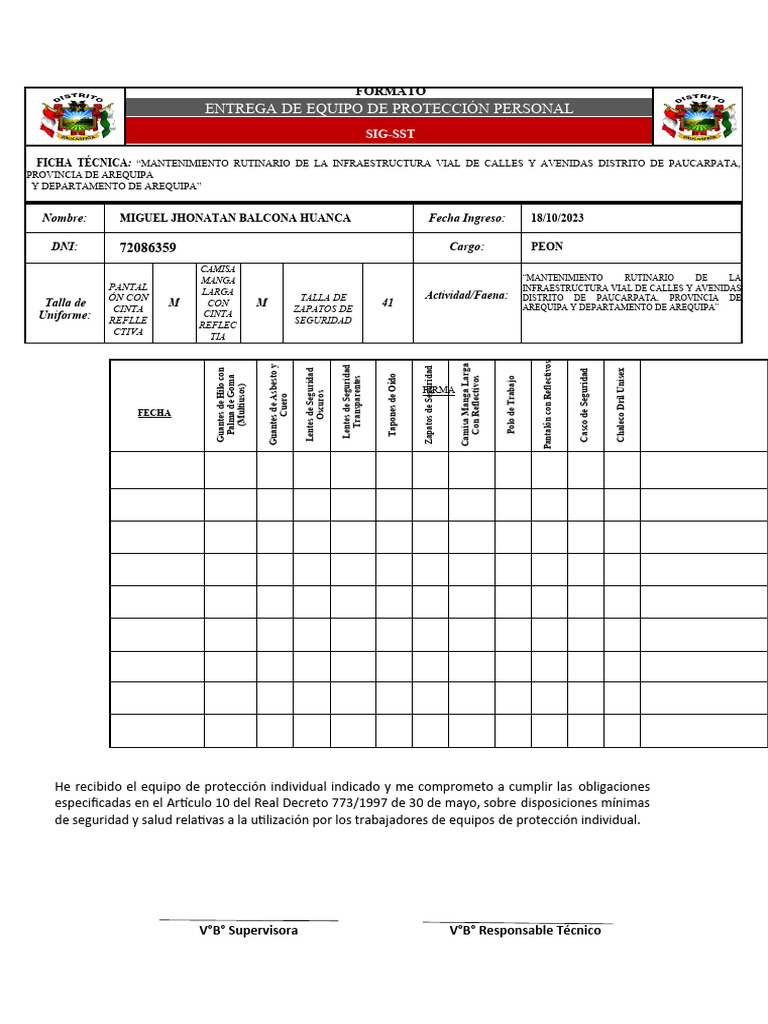 FORMATO | Descargar gratis PDF | La seguridad | Equipo de protección personal