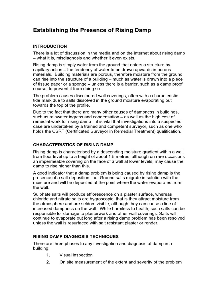 Rising Damp - Technical Paper | PDF | Materials | Physical Sciences