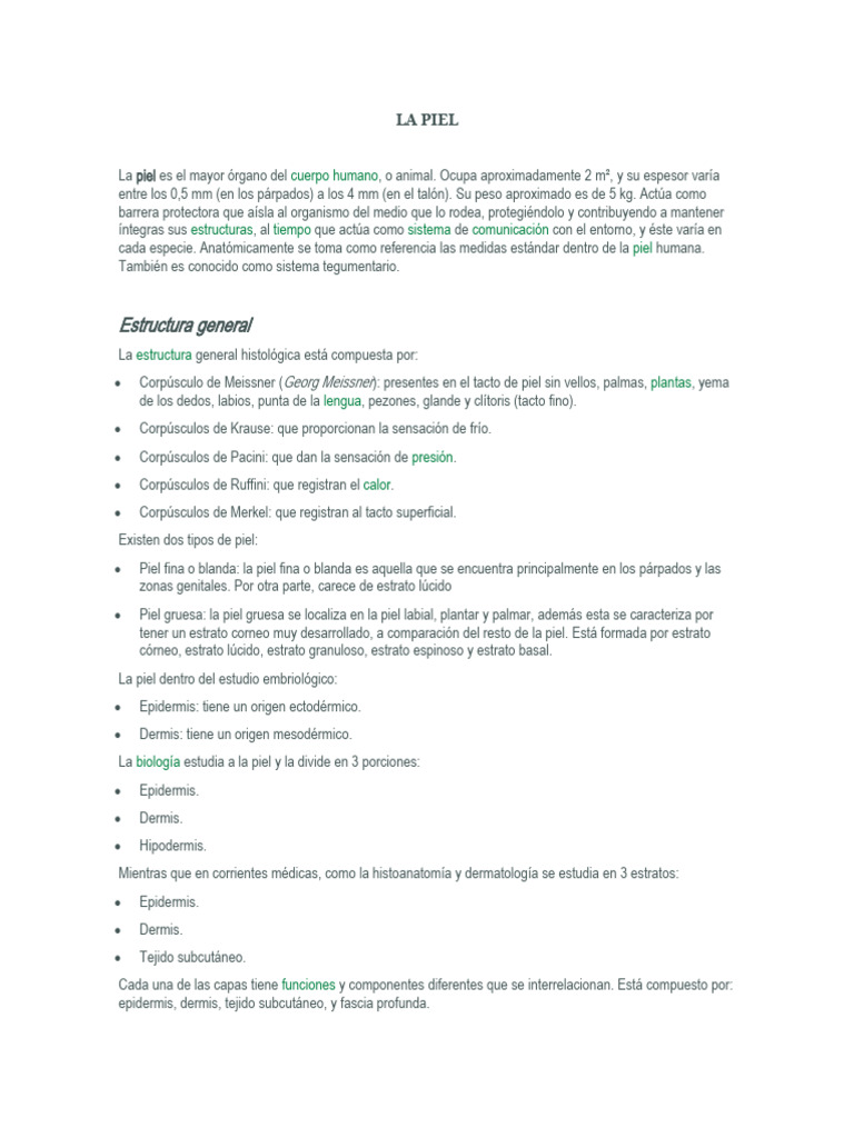 La Piel Pdf Piel Epidermis