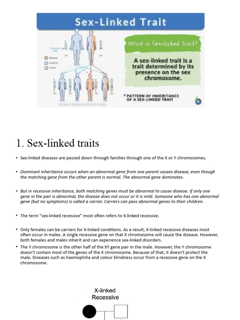 10th Grade Sex-Linked Traits | PDF