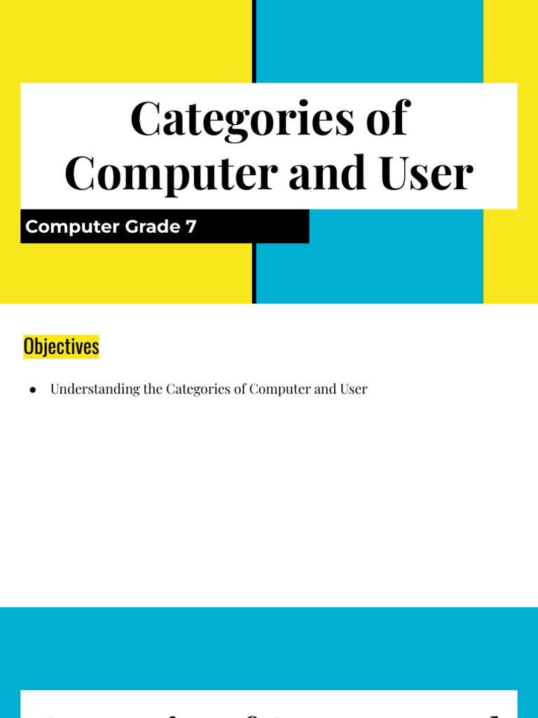 Categories of Computer Users Explained | PDF