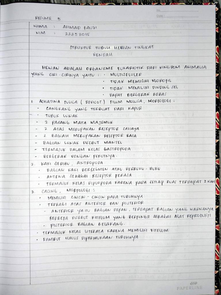 Resume 5 AHMAD FAUZI | PDF