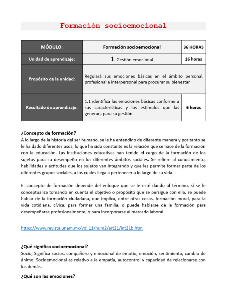 Programa Formación Socioemocional | PDF | Las emociones | Cerebro