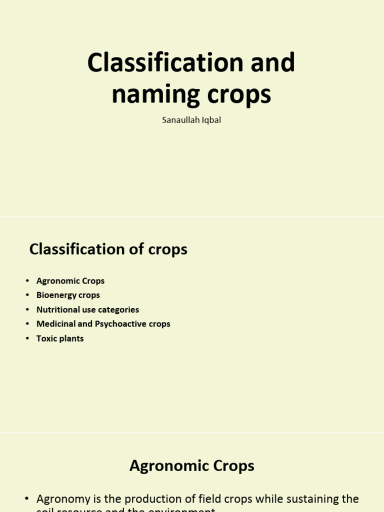 Classification and Naming Crops | PDF | Legume | Cereals