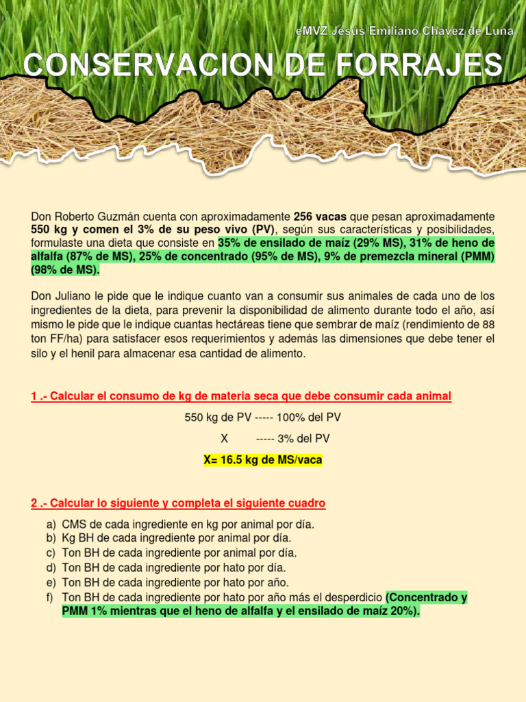 Guia de Conservacion de Forrajes | PDF | Tonelada | Forraje