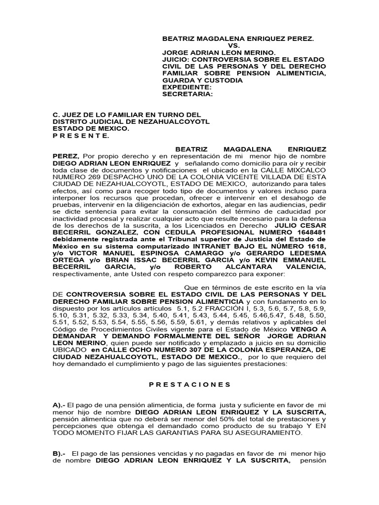 Alimentos Guarda y Custodia Beatriz Magdalena Enriquez Perez | PDF ...