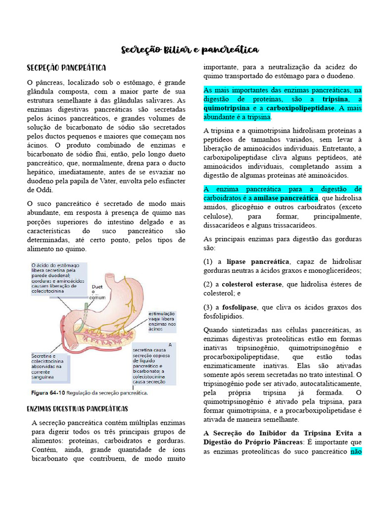 Secreção Biliar e Pancreática | PDF | Bile | Digestão