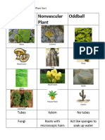 Six Essential Nutrients Worksheet Guide | PDF