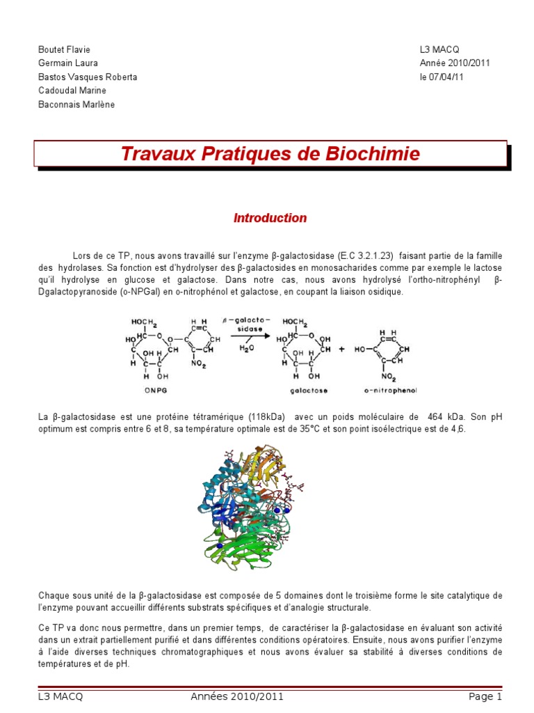 TP Bioch | PDF | Chromatographie | Biochimie