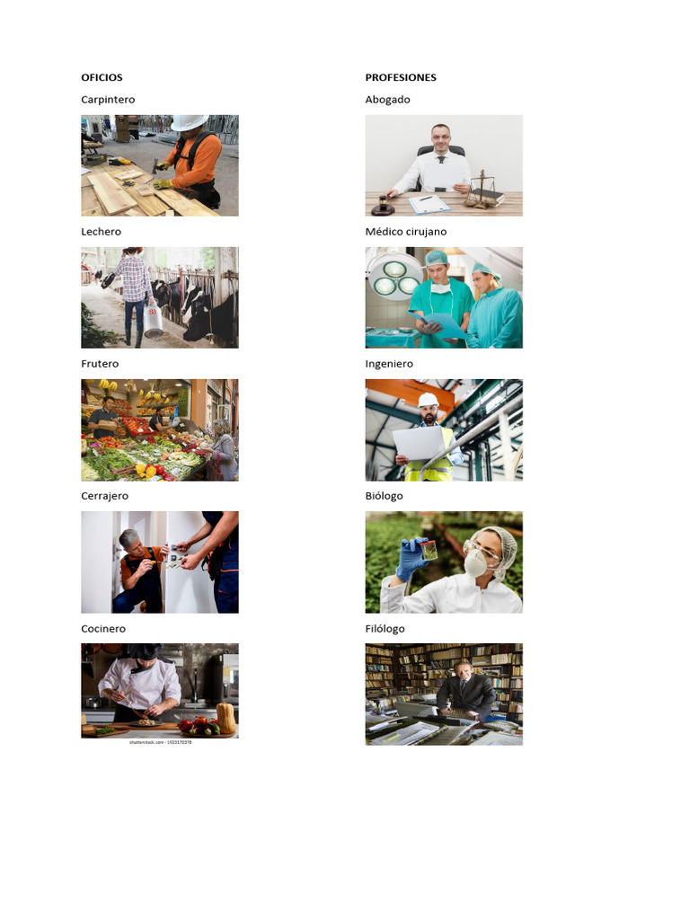 10 Profesiones y 10 Oficios | PDF