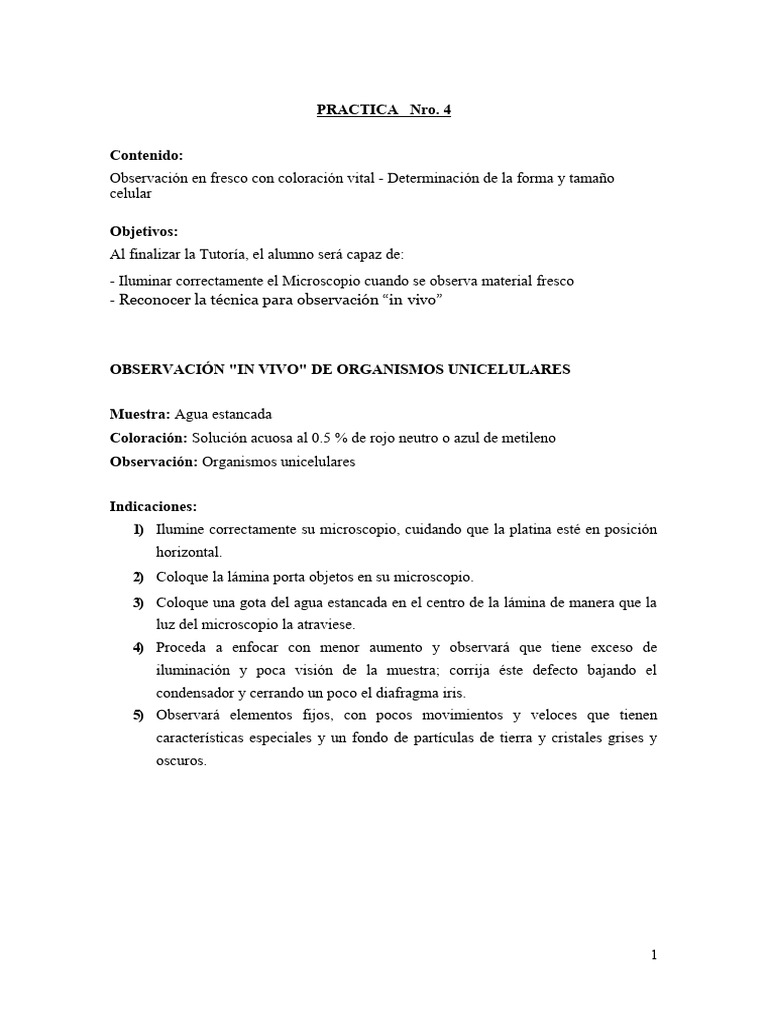 Practica 04 | PDF | Biología Celular) | Anatomía