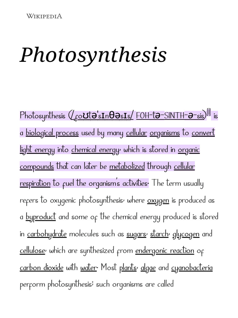 Photosynthesis - Dark Reaction and Calvin Cycle Class 9 Notes | PDF ...