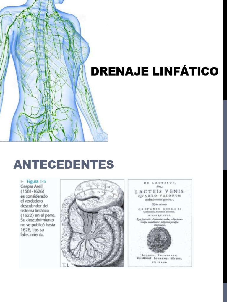 1.2. Drenaje Linfatico | PDF | Sistema linfático | Linfa