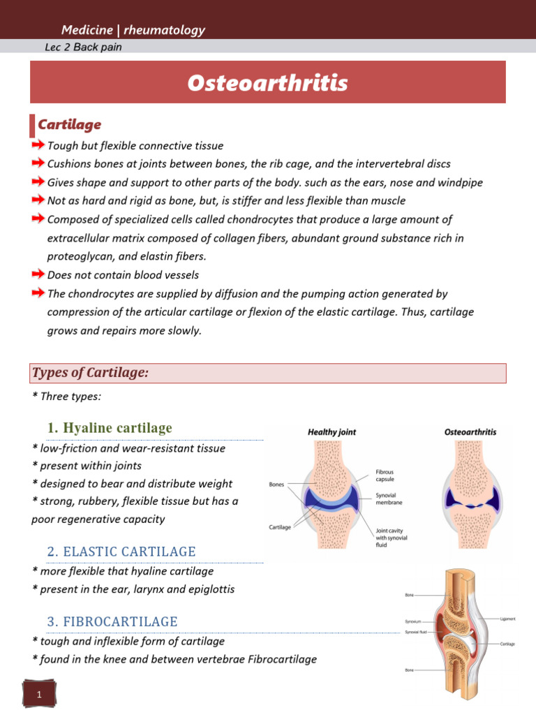 Osteoarthritis Patient Education Handout | National Education