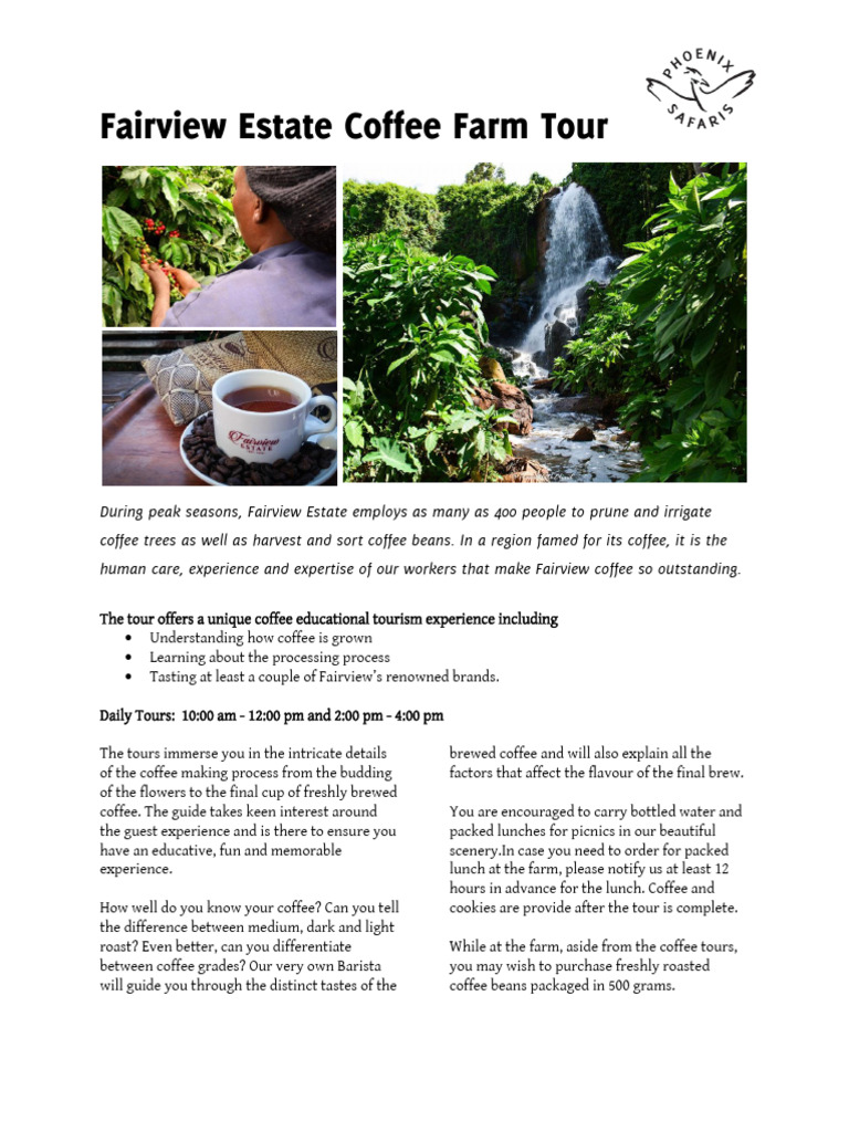 Fairview Estate Coffee Farm Tour | PDF | Coffee | Farms