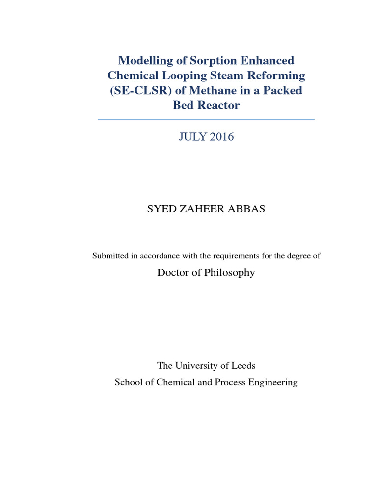 Thesis Syed Abbas | PDF | Methane | Adsorption