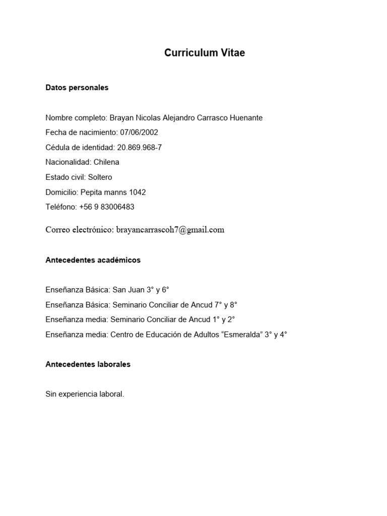 Curriculum Vitae Brayan Carrasco | PDF