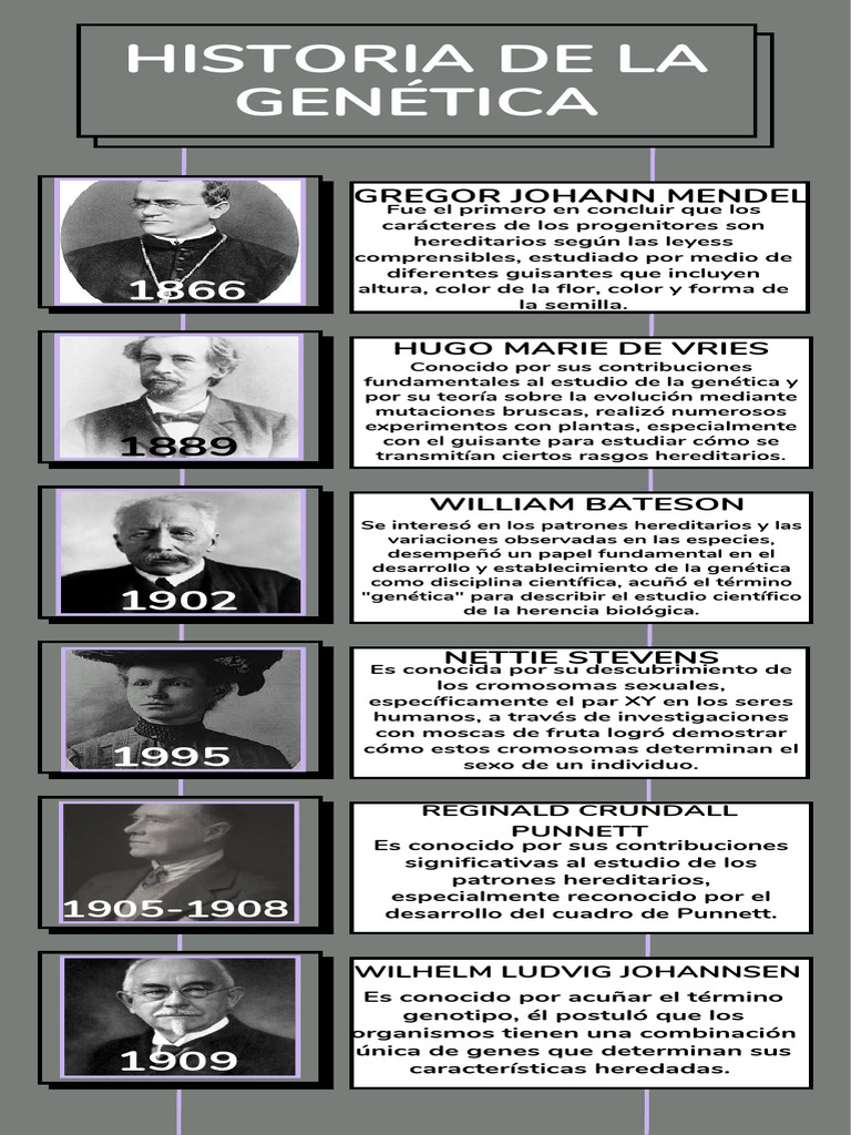 Infografía Historia de La Genética | PDF | Genética | Herencia
