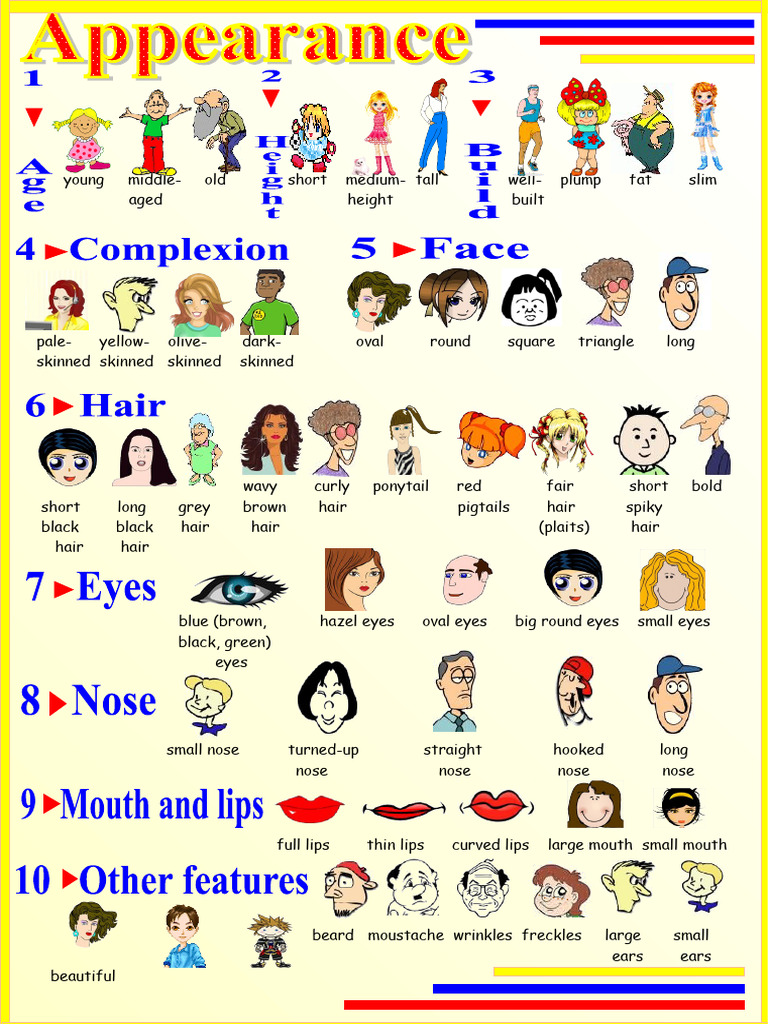 Descriptions Vocabulary | PDF