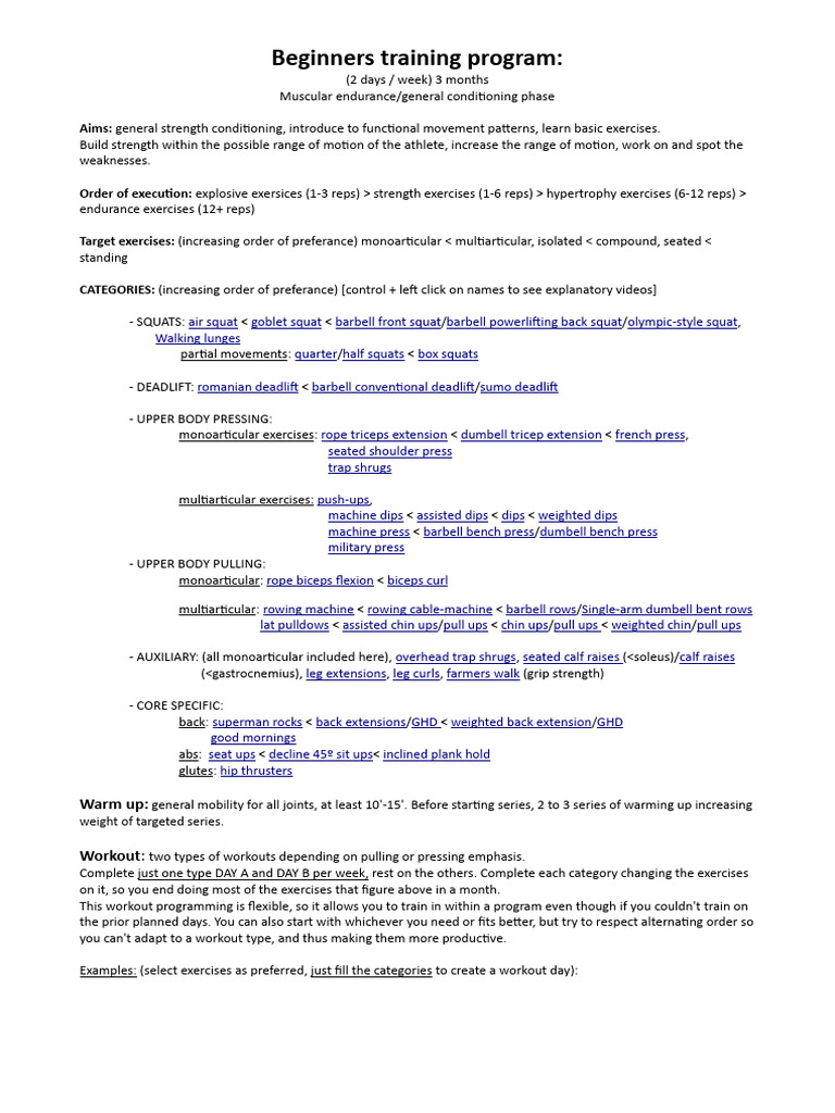 Nico's Basic Training Program 3 Months | PDF | Athletic Sports ...