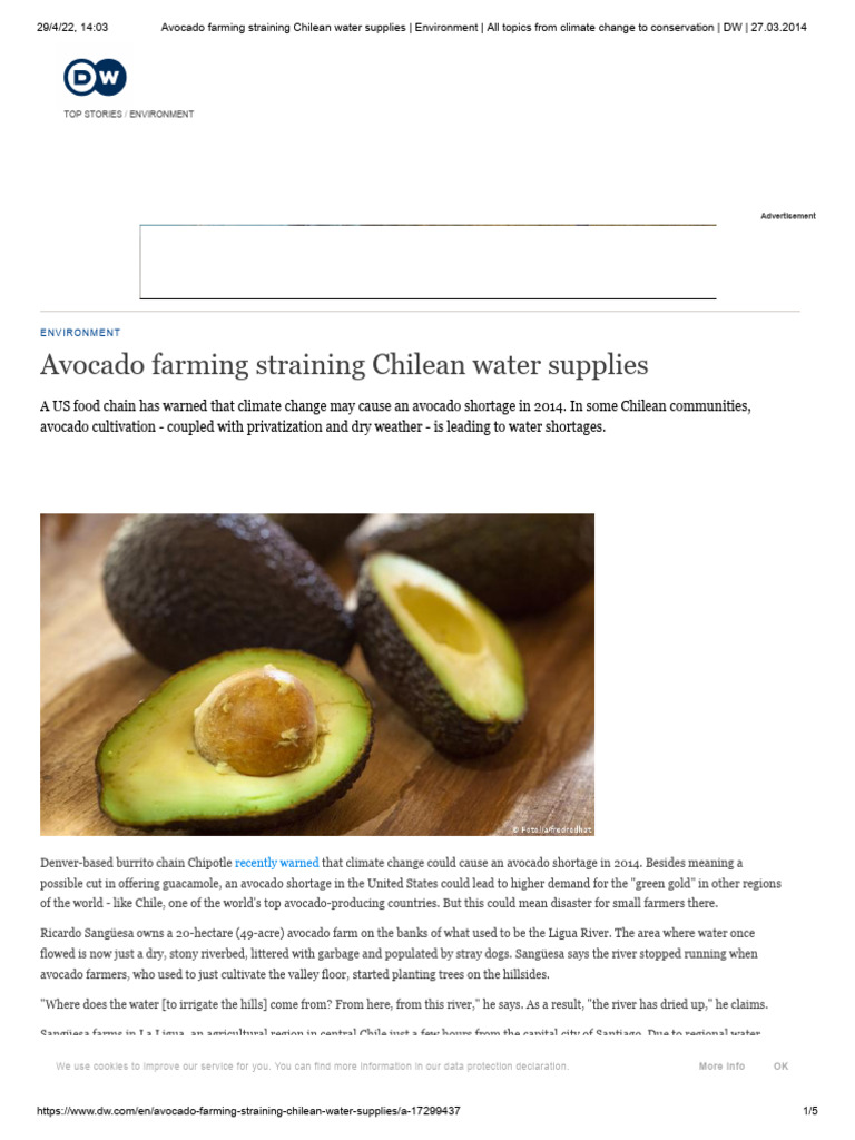 Avocado Farming Straining Chilean Water Supplies | PDF | Avocado | Water