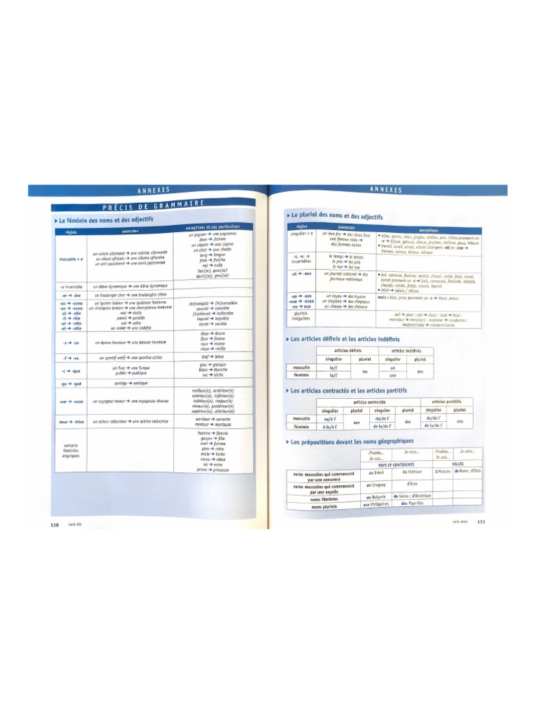Précis de grammaire | PDF