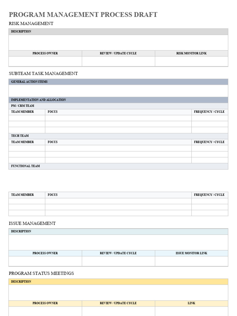 Program Management Process Draft | PDF | Information Technology | Business