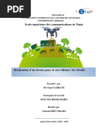 Expose Sur Les Drones | PDF | Drone | Aviation