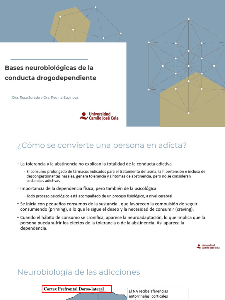 TEMA 2. Bases Neurobiológicas de Las Drogodependencias | PDF | Las emociones | La dependencia de ...