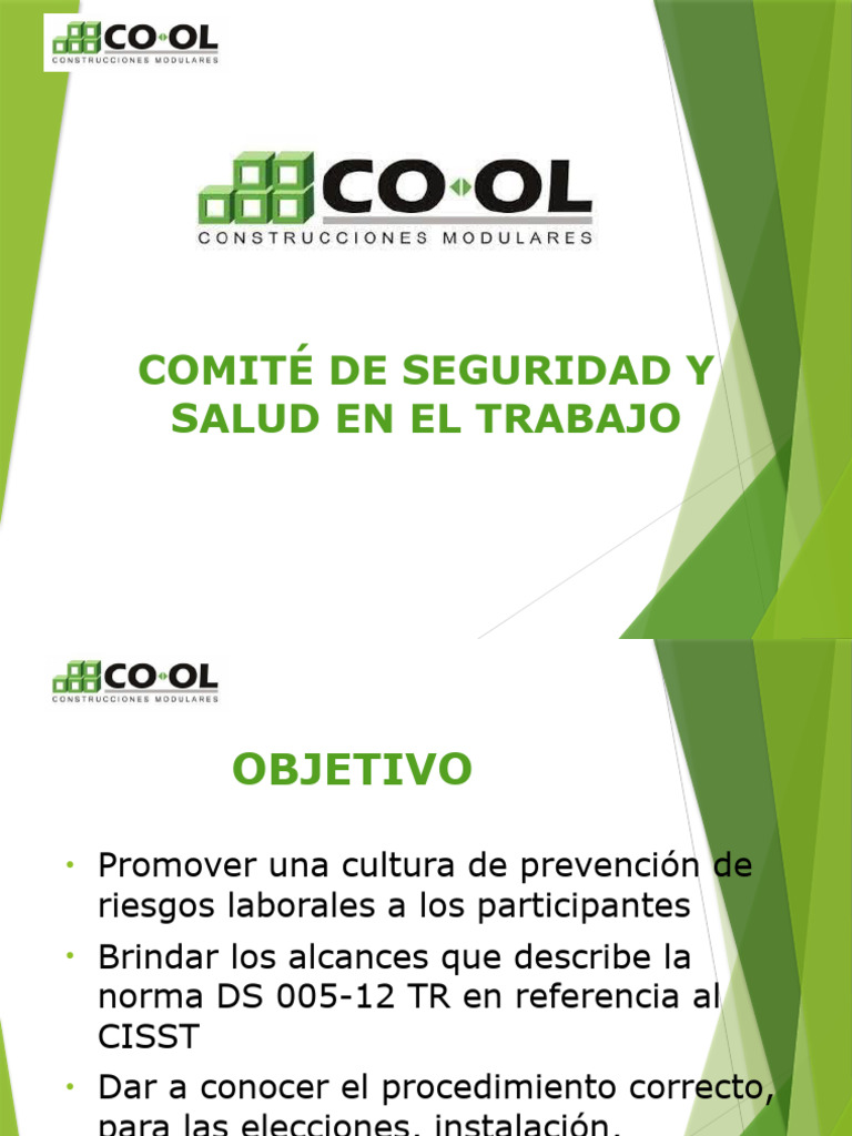 El Comite de Seguridad y Salud en El Trabajo CSST | PDF | Regulación