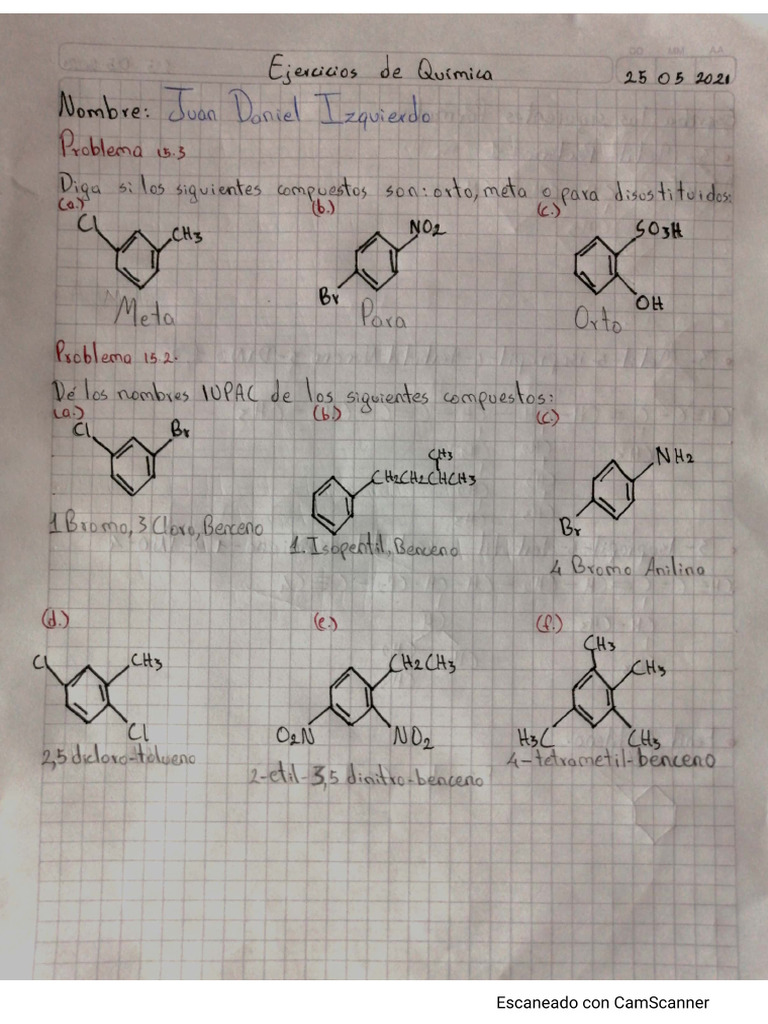 Ejercicios Del Benceno - Juan Izquierdo | PDF