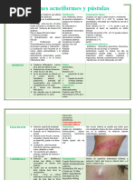 Guía Completa sobre Piodermitis | PDF | Septicemia | Enfermedades y ...