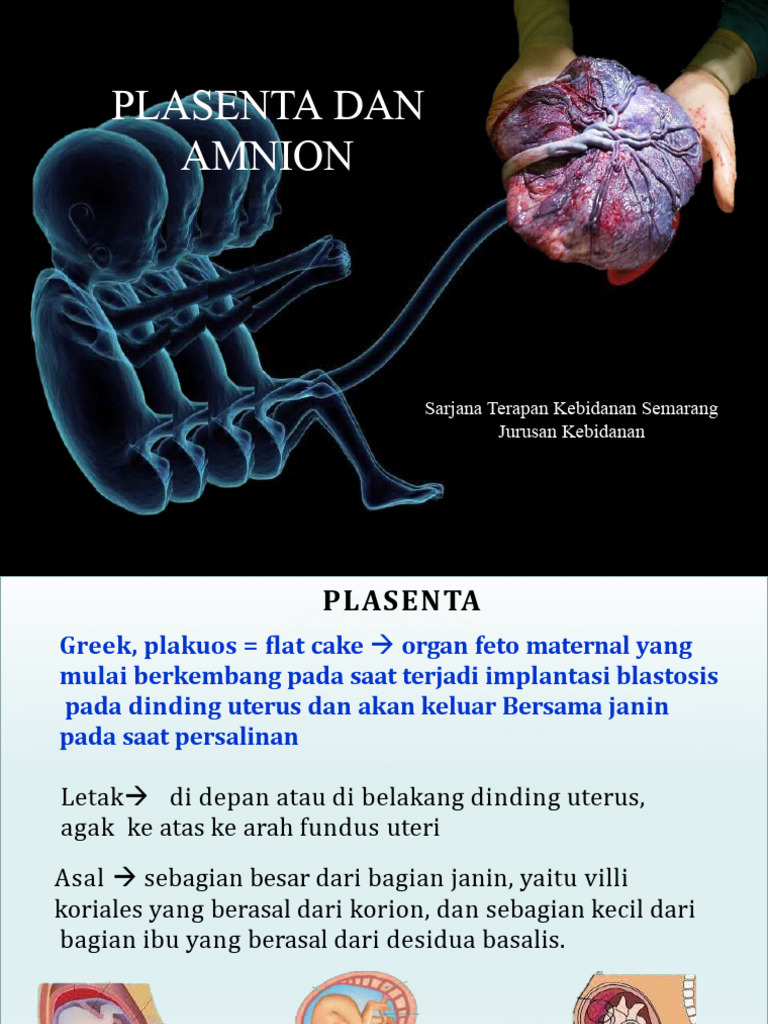 Plasenta Dan Amnion | PDF
