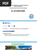 Mapa Conceptual de Ecosistema | PDF | Ecosistema | Ecología