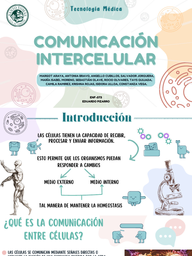 Comunicación Comunicación Intercelular Intercelular | PDF | Sinapsis ...